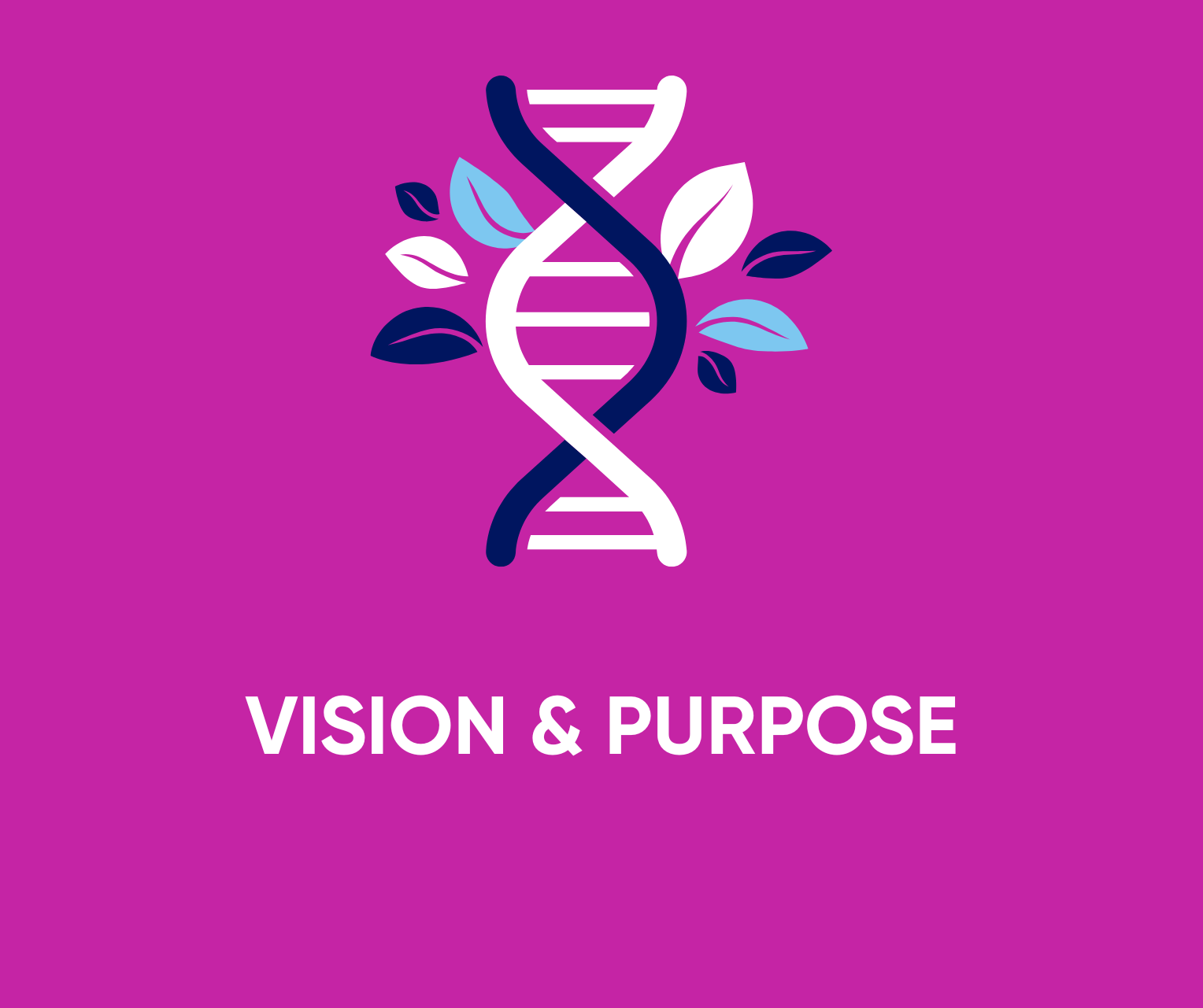 Embracing Our Vision and Purpose at DNA - DNA - Accounting. Tax. Consultancy